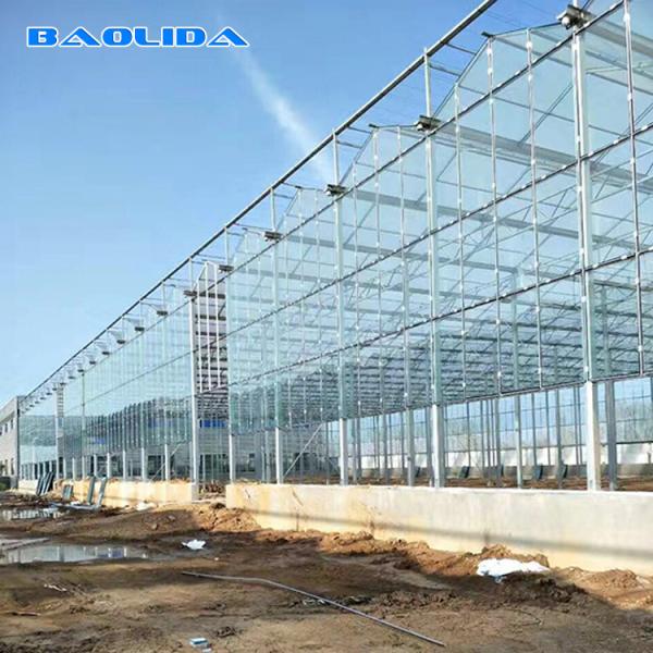 Quality Multi Span Galvanized Steel Frame Glass Covering Venlo Glass Greenhouse for sale