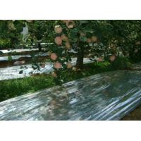 Quality 15um Silver Agricultural Polyethylene Shrink Metalized CPP Film for sale