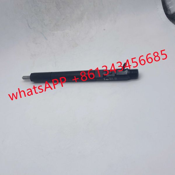 Quality D20DT EJBR04501D Delphi Fuel Injector for sale