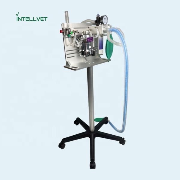 Quality Small Animal Medical Treatment Anesthesia Machine Medivet Veterinarian Clinic for sale