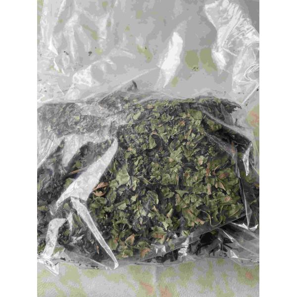 Quality Raspberry Sweet Leaf Tea Natural Plant Sweetener Replace Sucrose The Sweetness Is 300 Times of The Sucrose for sale