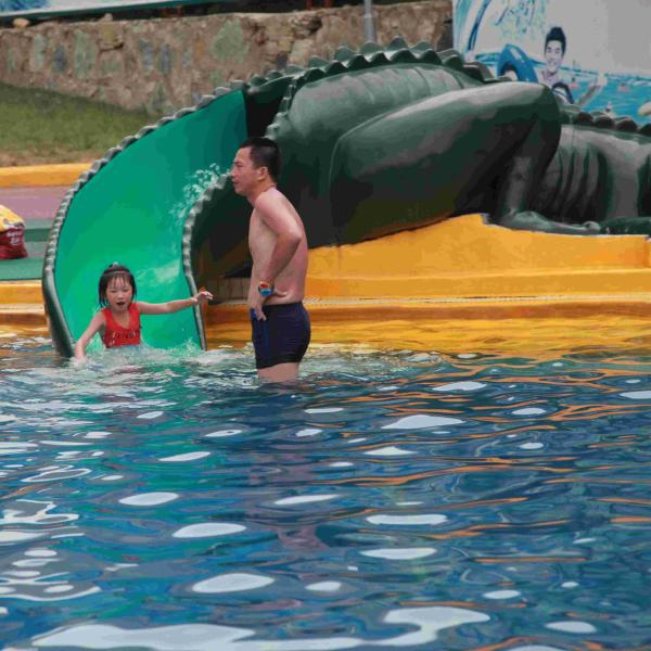 Quality Water Park Equipment Crocodile Slide , Commercial Small Fiberglass Water Slide for sale