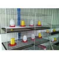 Quality A Type RTL Chicken Cage / 3 Tier 5 Doors Galvanized Layer Poultry Cage For for sale