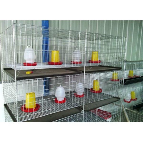 Quality A Type RTL Chicken Cage / 3 Tier 5 Doors Galvanized Layer Poultry Cage For Broilers for sale