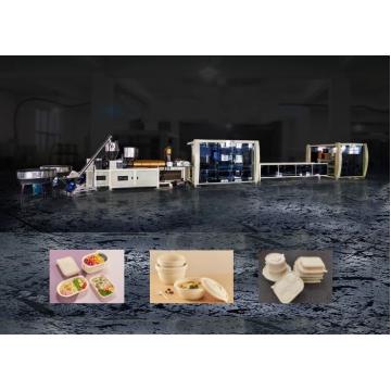 Quality Compostable Lunch Fast Food Box Forming Machine for sale