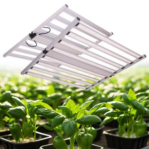 Quality LM281B Full Spectrum 800W Led Indoor Plants Grow Light for Hydroponic for sale