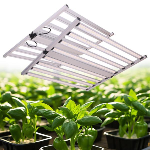 Quality LM281B Full Spectrum 800W Led Indoor Plants Grow Light for Hydroponic for sale