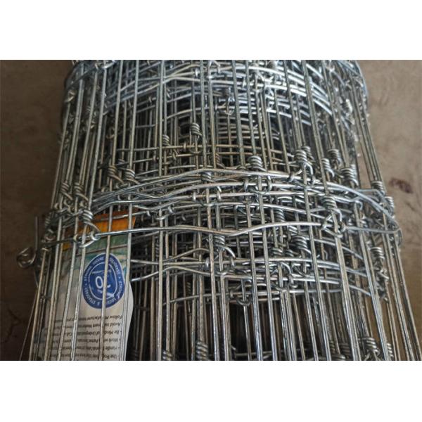 Quality Galvanized Low Carbon Steel Wire Field Fence Easy Fixation High Strength for sale