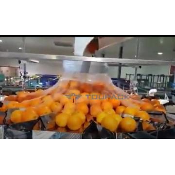 Quality Automatic Orange Fruit And Vegetable Packaging Machine With Net for sale