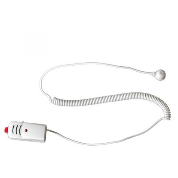 Quality Consumer Electronics Retail Displays Alarm Security Tag with Loop end for sale