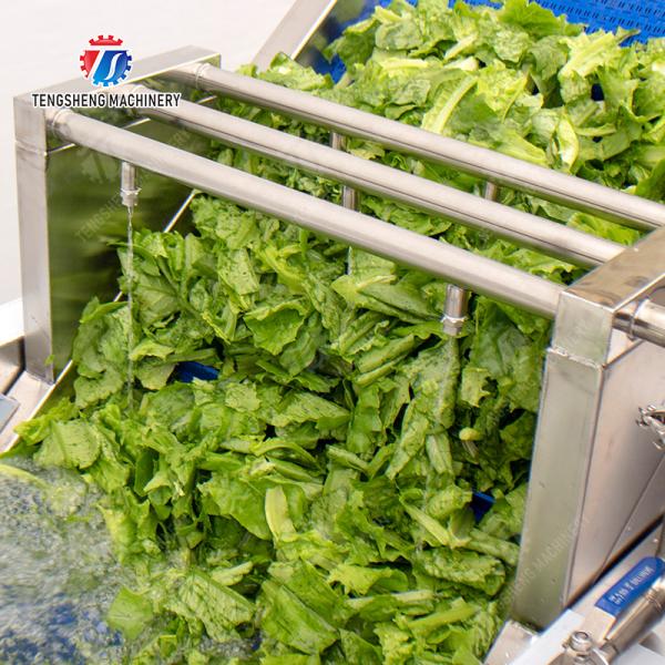 Quality Bubble washing vibration air drying production line Orange Vegetable Herbs Fruit for sale