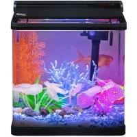China Saltwater 4 Litre Hygger  Aquarium Fish Tank factory