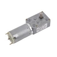Quality 90 Degrees Double Shaft Worm Gear Motor 24V Cylinder DC Motor Motor diameter for sale