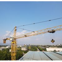 Quality Stationary Foundation Type Flat Top Tower Crane QTZ80 QTZ125 for sale