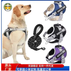 Quality Pet Exercise & Fitness Gear Category for sale