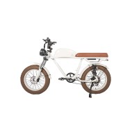 Quality Retro Vintage E-Bike with 500W Bafang Rear Hub Motor Electric Bike OEM for sale