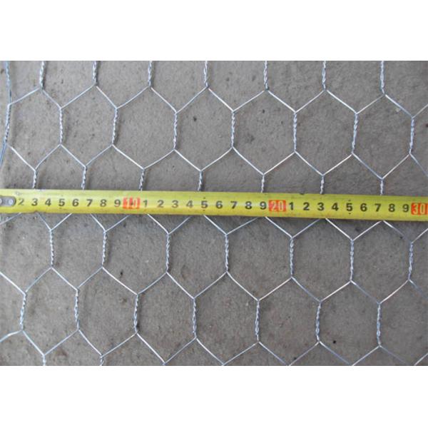 Quality HDG Hexagonal Chicken Mesh Fence Q195 0.5m Width For Poultry for sale