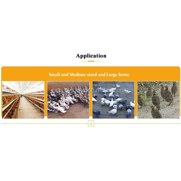 Quality 11 Rubber Sticks Poultry Killing Machinery Chicken Scalding and Defeathering for sale