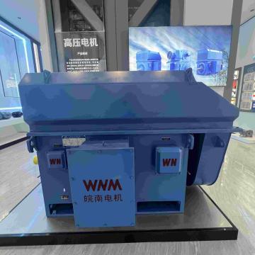 Quality Variable Frequency 8KV High Efficiency Electric Motor for sale
