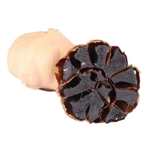 Quality CE Certified Black Garlic Fermenter Machine 80L Energy Saving for sale