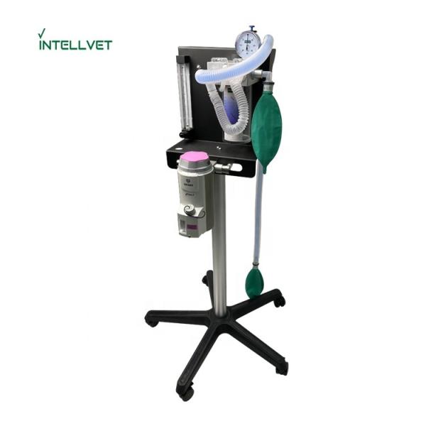 Quality Animal Anesthesia Machine Medical Equipment Equipment Icu Surgical Anesthesia for sale