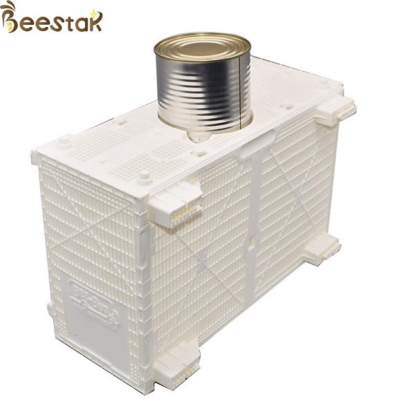 Quality Beehive Equipment Plastic Bee Bus Package Bee Installation Bee Cage for sale