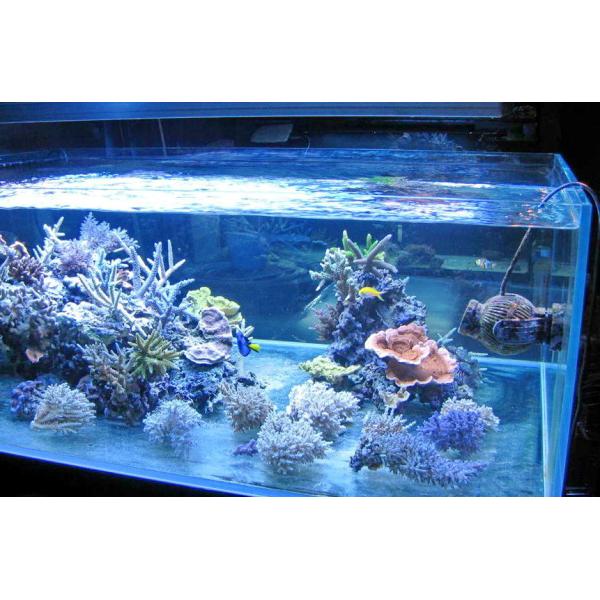 Quality Low Iron Safety Tempered Glass For Exhibition Hall for sale