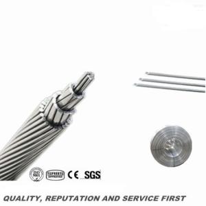 Quality Hazel 50mm Mulbery 125mm AAAC Dog Conductor for sale