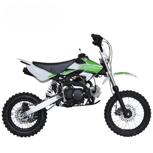 Quality Customzied Colors Supported 125cc Pit Bike Motorcycle with Eletric Start Efficiency for sale