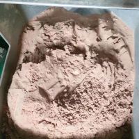 Quality 90% Animal Feed Powder spray dried Chicken Plasma Protein Powder for sale