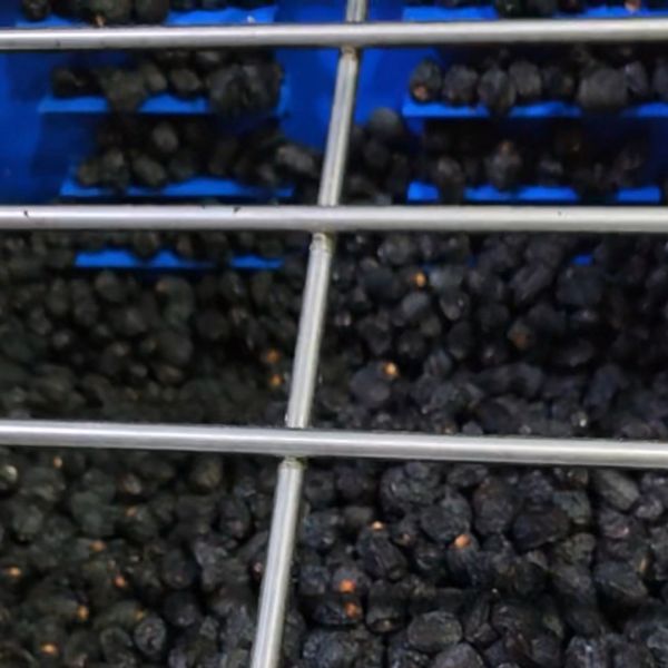 Quality Smart Dates Sorting Machine With Deep-learning Technology, 8 lanes+10 outlets, for sale