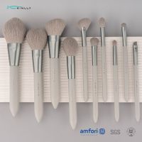 Quality OEM 10PCS Nano Luxury Makeup Brush Set For Face for sale