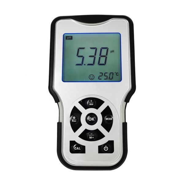 Quality ODM Customized Support Portable Digital pH Meter 0.1/0.01PH Range for Laboratory for sale
