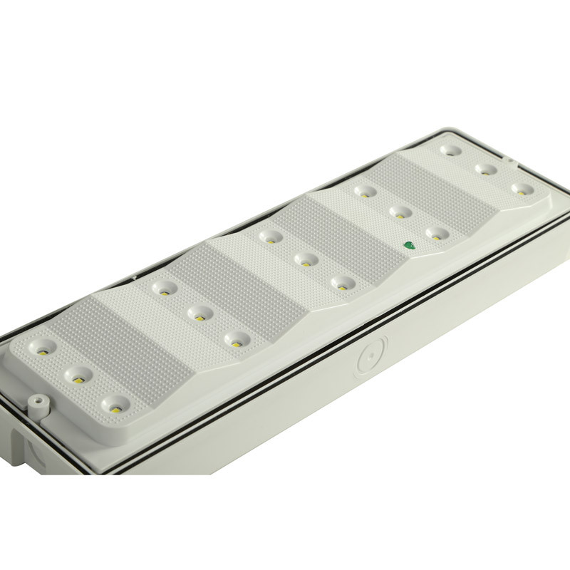 Quality Self Testing 3 Watt Battery Operated LED Rechargeable Emergency Light IP65 for sale