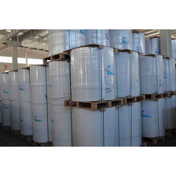 Quality BPA-Free Jumbo Thermal Paper Roll for ATM & POS Printers - Oil Resistant for sale