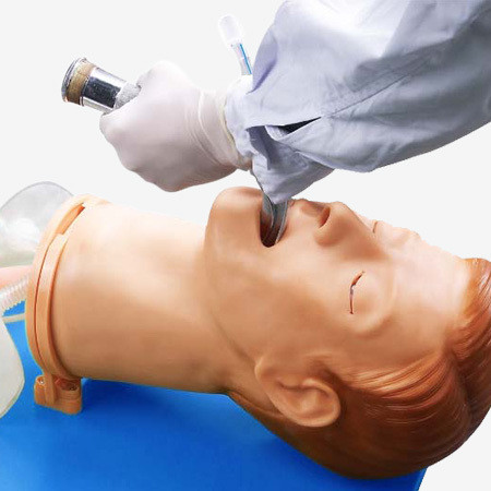 Quality Vivid Anatomy Intubation Head for Electronic Multi-functional Airway Management Model for sale