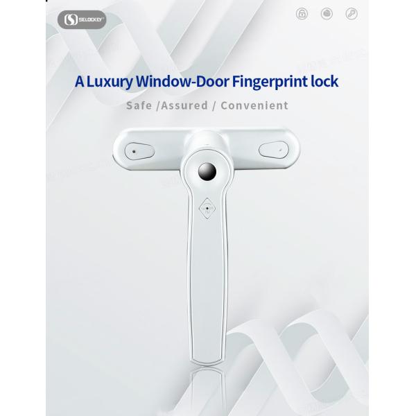 Quality Fingerprint Sliding Window Lock for sale