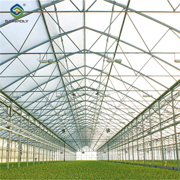 Quality Agricultural Multi Span Greenhouse Strong Structure For Tomato Planting for sale