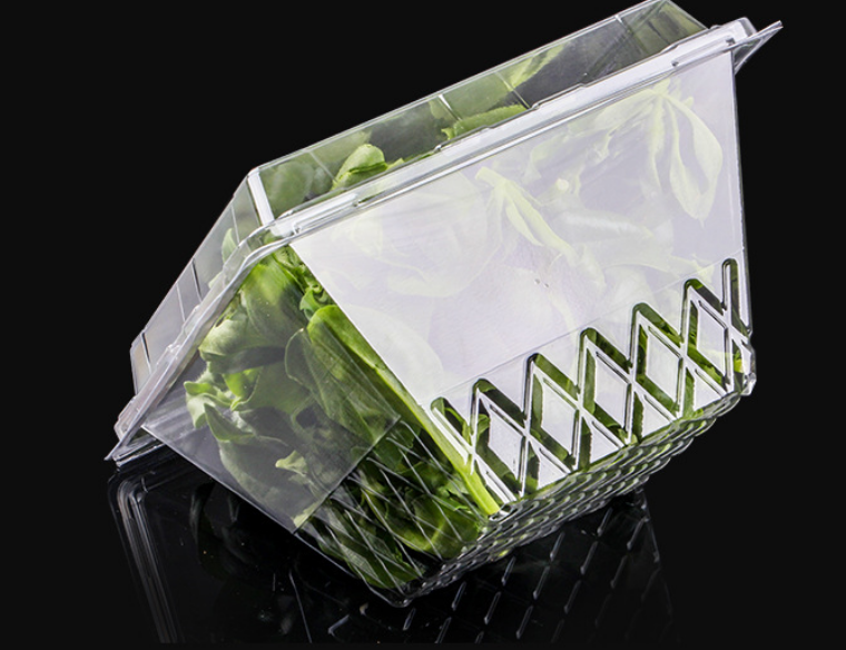 Quality Customized Design Recyclable PET Plastic Blister Packaging with Heat Sealing for for sale