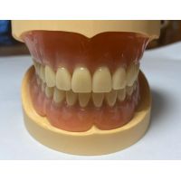 Quality Easy To Clean Full Acrylic Denture Highly Elastic for long term use for sale
