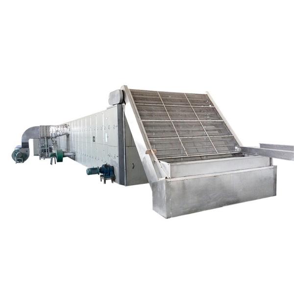 Quality Dual Layer Fruit Mesh Belt Dryer SUS304 for sale