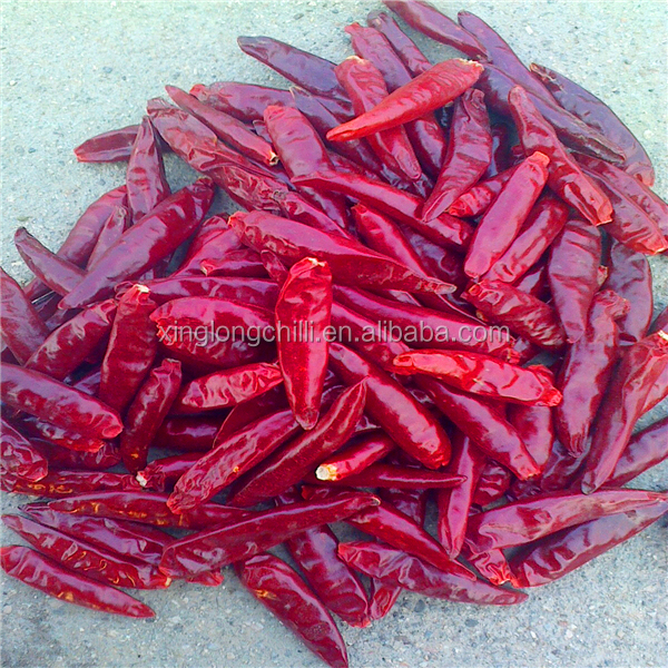 Neihuang New crop stemless Japanese chili