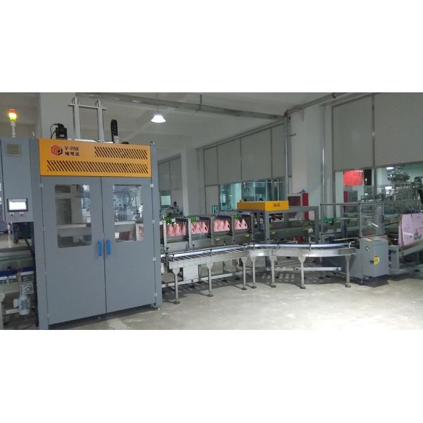Quality Automatic Pick And Place Case Packer , Integrated Carton Packer For PET Bottle for sale