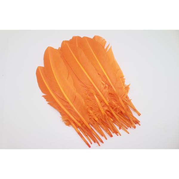 Quality Party Decoration Colored Turkey Feathers Event Supplies 10-12 inch for sale
