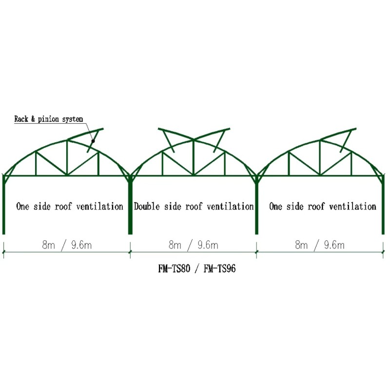 Plastic Film Greenhouses 6.jpg