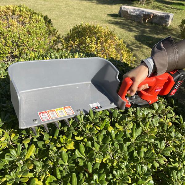 Quality Battery Tea Plucking Harvesting Machine Electric Tea Harvester 21v for sale
