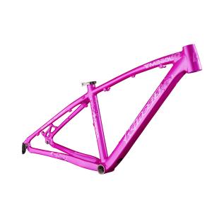 Quality 26 inch Aluminum Bike Frame Lady's Hardtail Xc mountain bike Women TM160L for sale