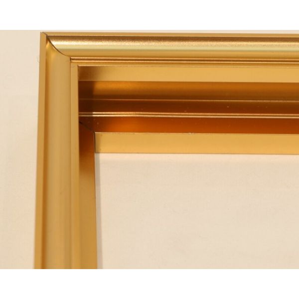 Quality Choose from Multiple Color Options for Aluminum Frame Mirror and Photo Picture for sale