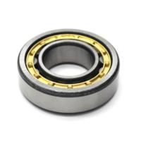 Quality Single Row Cylindrical Roller Bearing NJ230 NJ240 NJ200 Series for sale