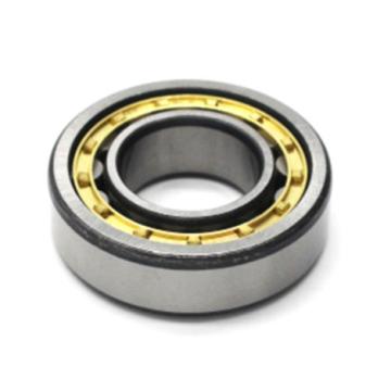 Quality Single Row Cylindrical Roller Bearing NJ230 NJ240 NJ200 Series for sale